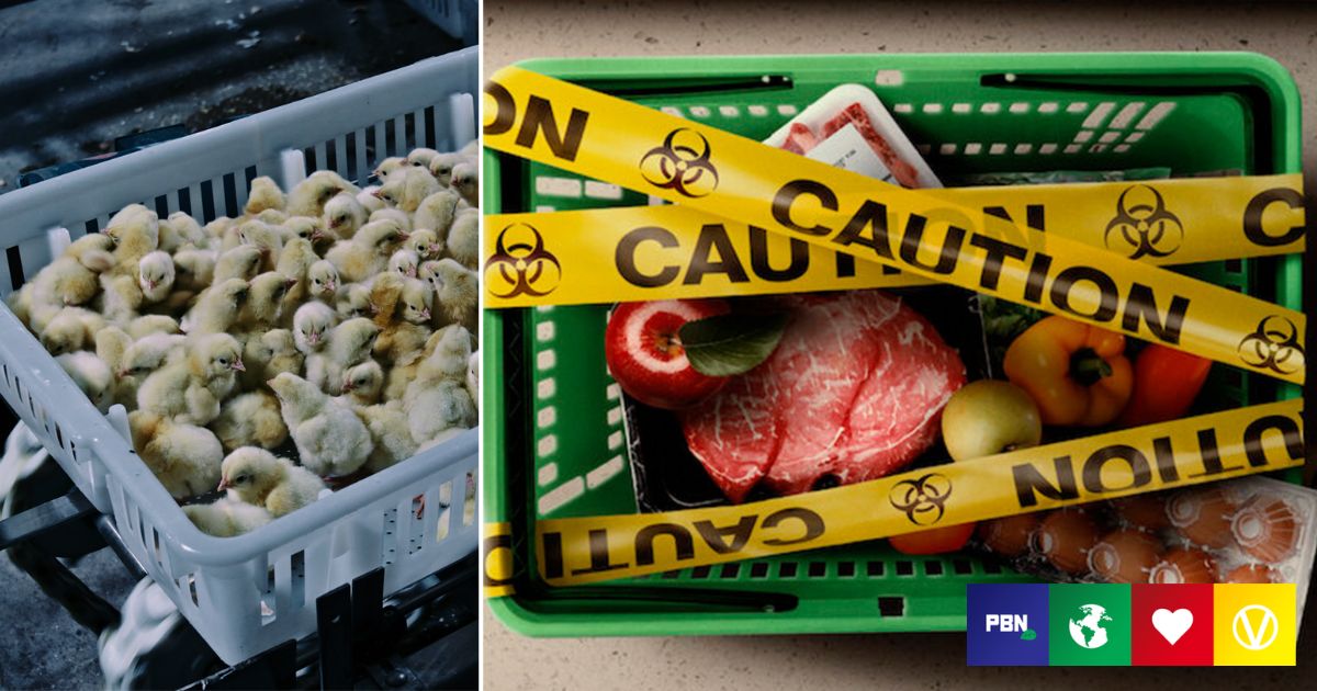 Netflix Documentary ‘Poisoned’ Makes Viewers Vow To Go Vegan