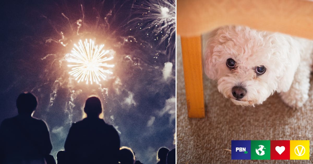 Is It Time To Move Away From Fireworks?