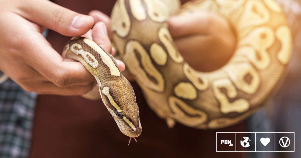 ‘They’re Prisoners’: Why The UK Government May Face Legal Action Over ...