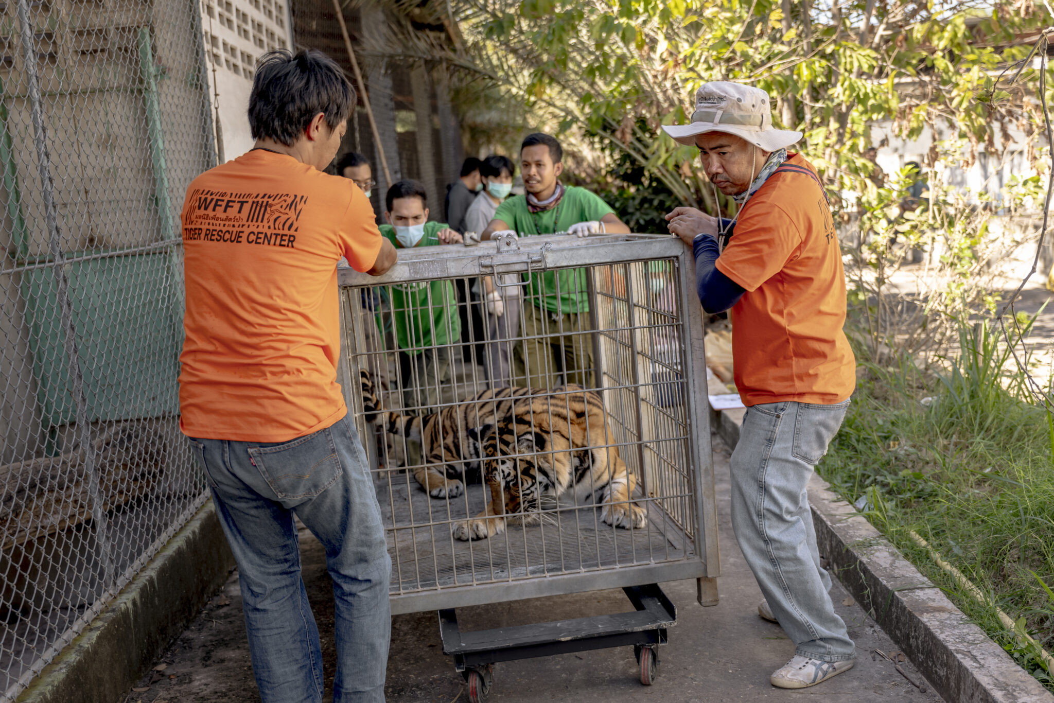 9 Positive Things That Happened For Animals In 2023