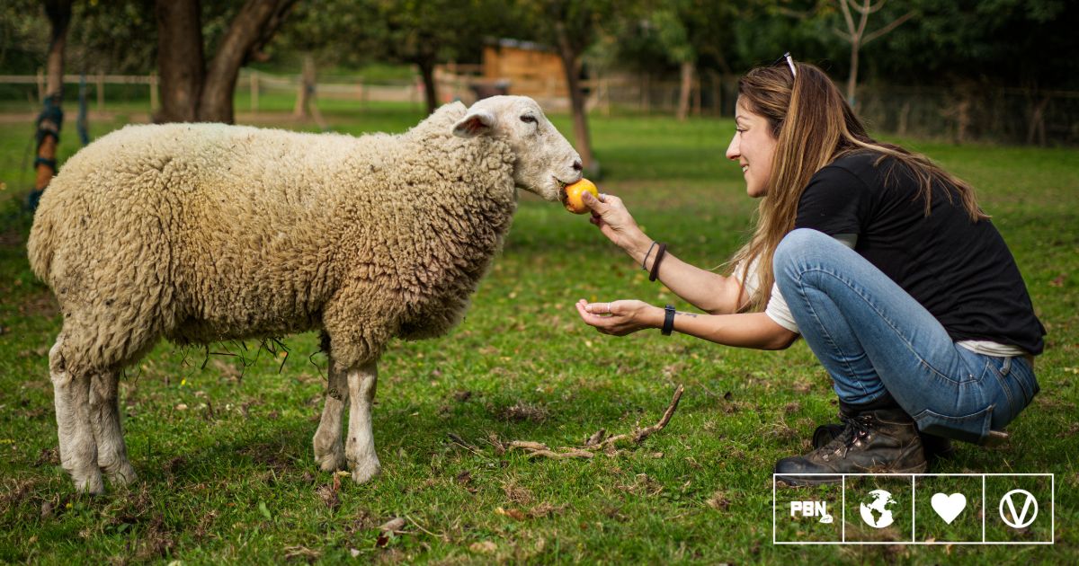 How To Show Your Love For Animals On Valentine’s Day