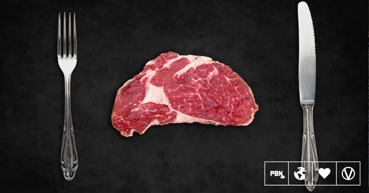 The 'King' Of Carnivore Diet Admits He Doesn’t Know The Long-Term Effects