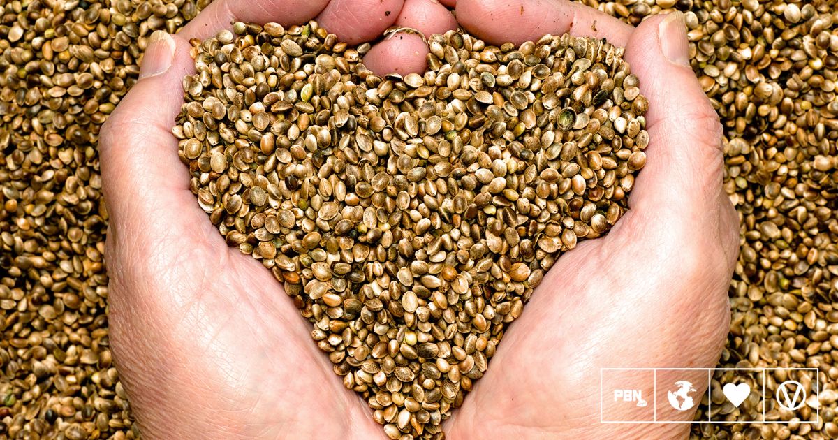 15 Benefits Of Hemp: From Heart Health to Climate Mitigation