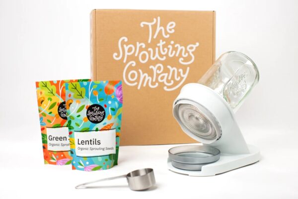 What Is Sprouting? How To Grow Healthy Food 'For Pennies'