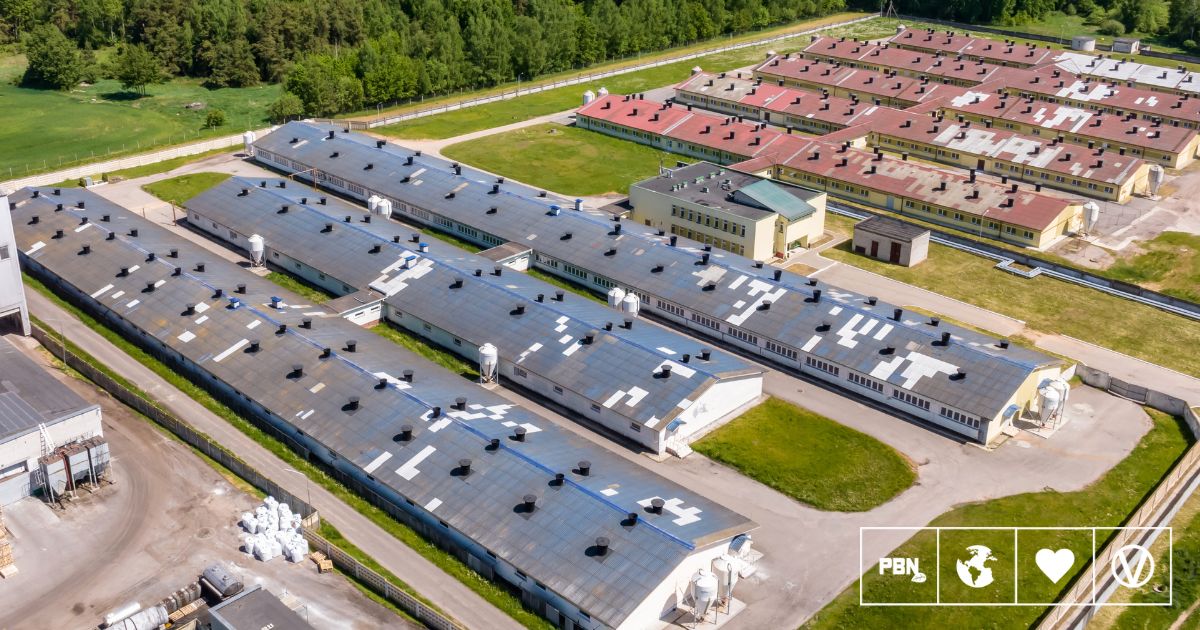 The 'Shocking' Rise In US-Style Megafarms In The UK