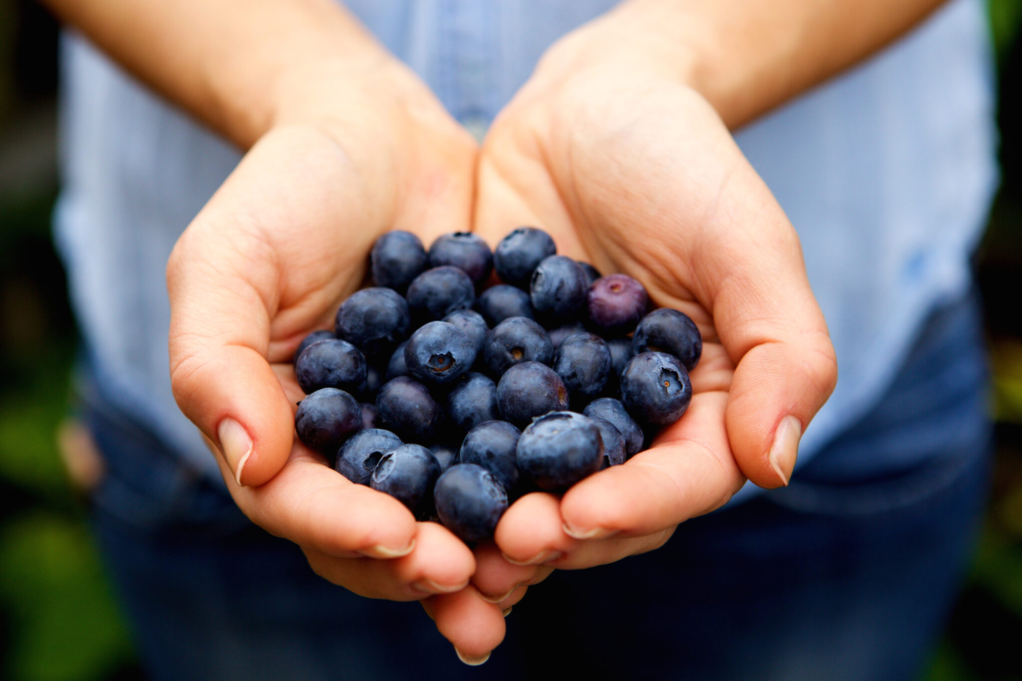 The World's Heaviest Blueberry Wins Guinness Record