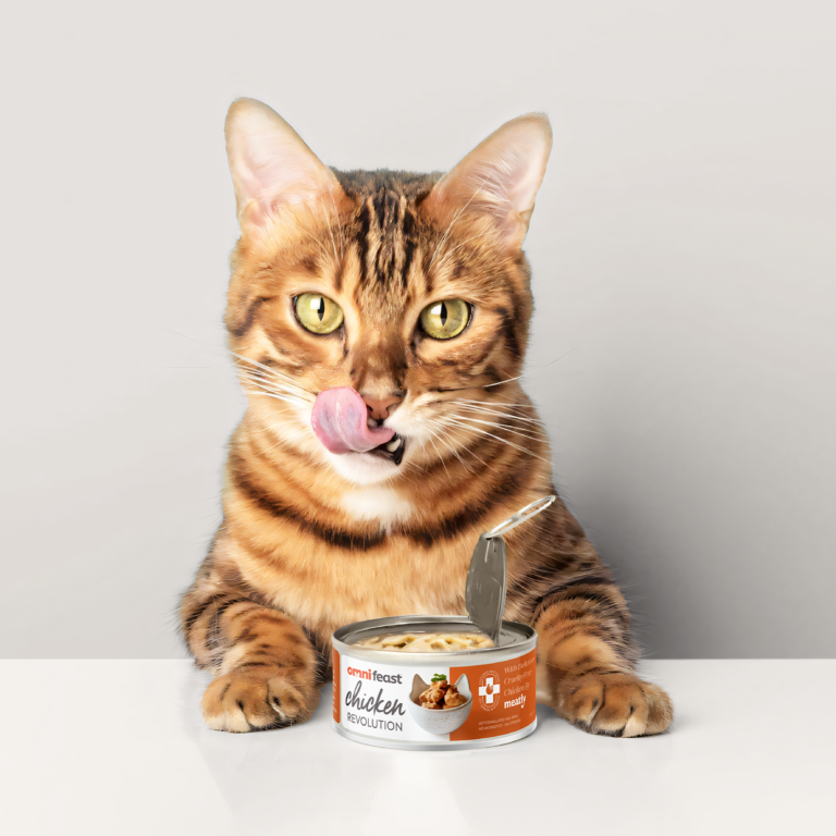 'World First' Cat Food Made With Cultivated Chicken Is Here