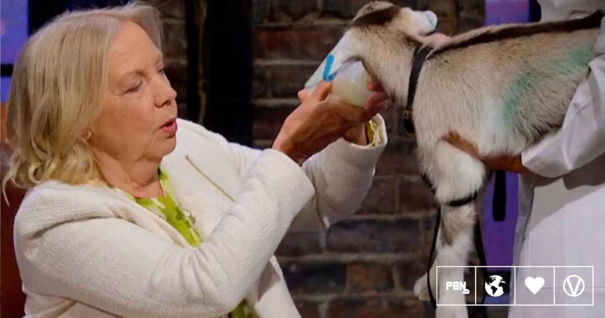 Deborah Meaden Raises Concerns Over Goat Milk Skincare Range On Dragons Den