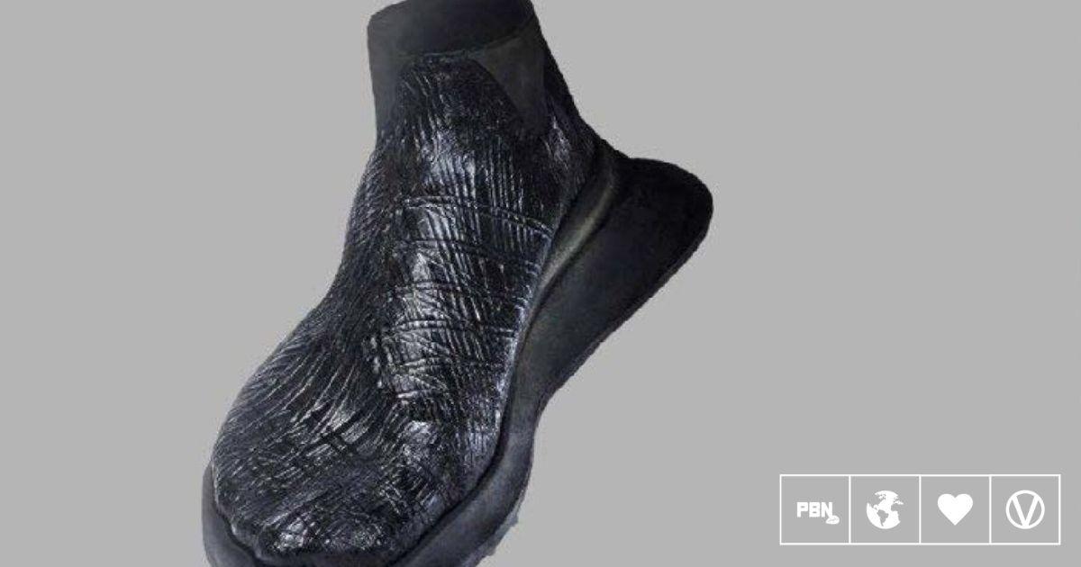 Scientists Grow A Vegan Self-Dyeing Leather Shoe From Bacteria