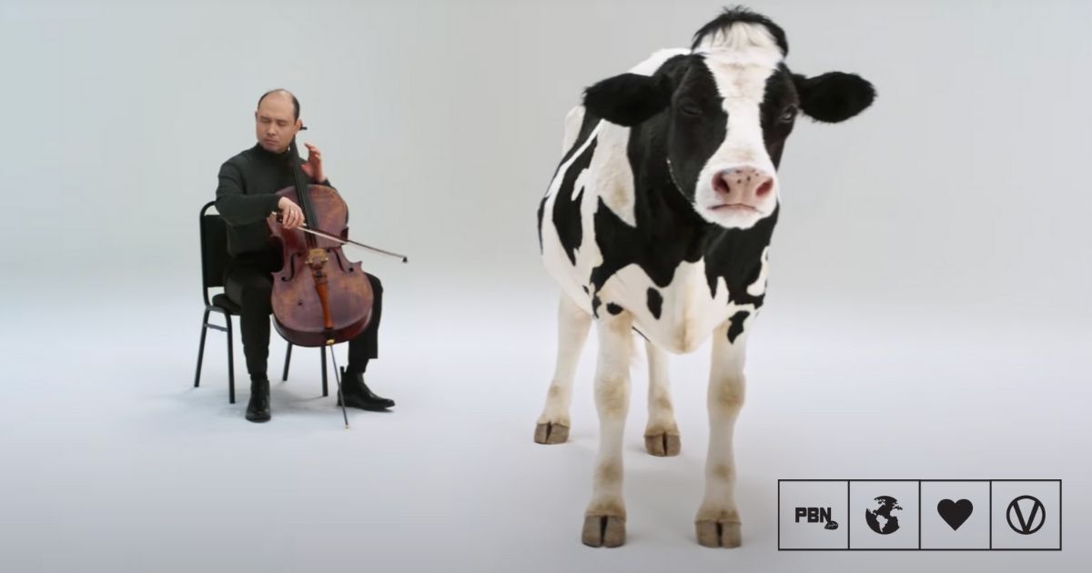 Spread Brand Flora Says Dairy Is ‘A Bit Weird’ In New Ad