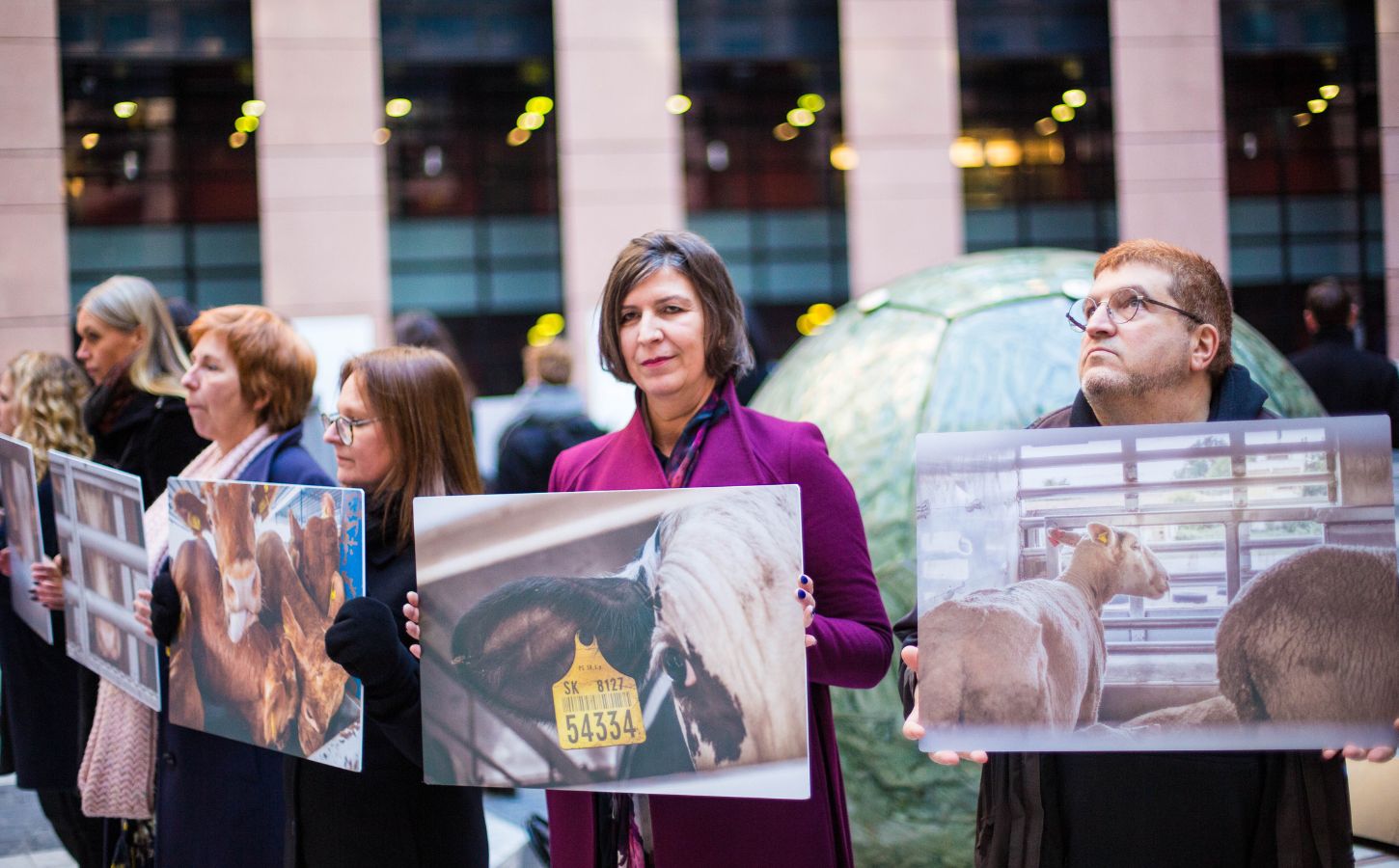 Animal Rights Political Parties Unite For European Elections