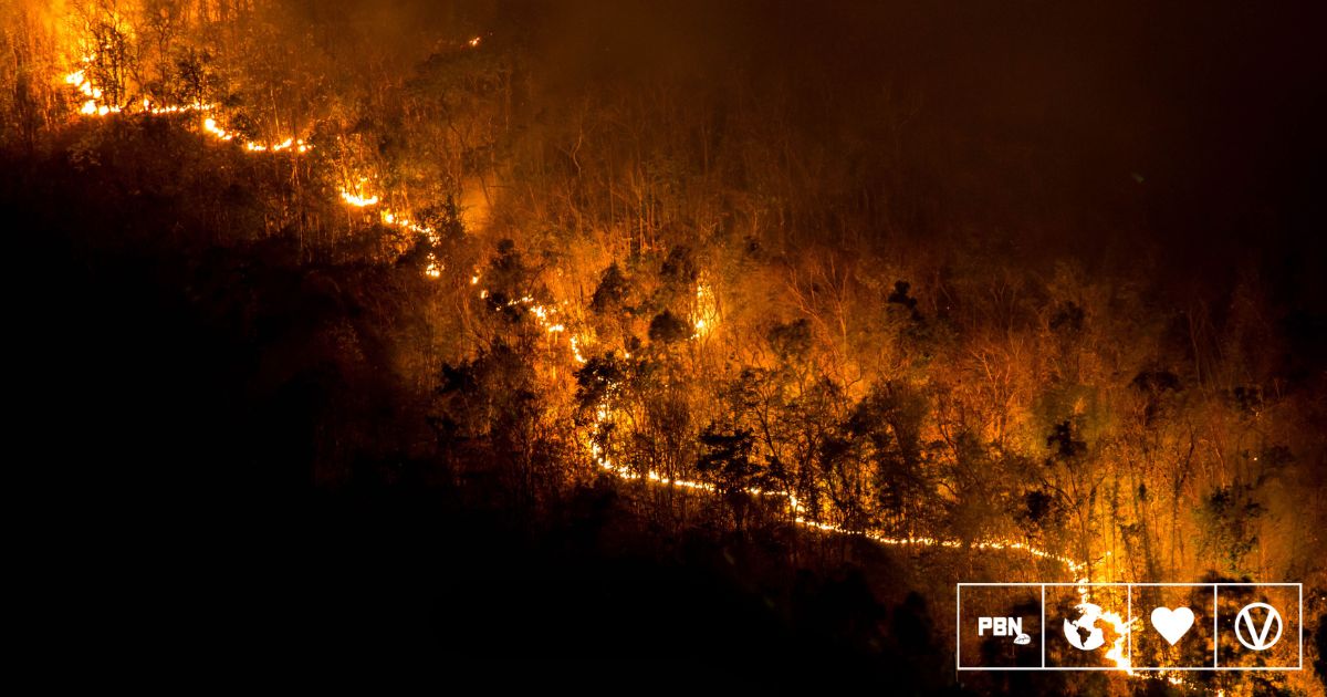 Hundreds Of Climate Scientists Predict Global Heating Of At Least 2.5C