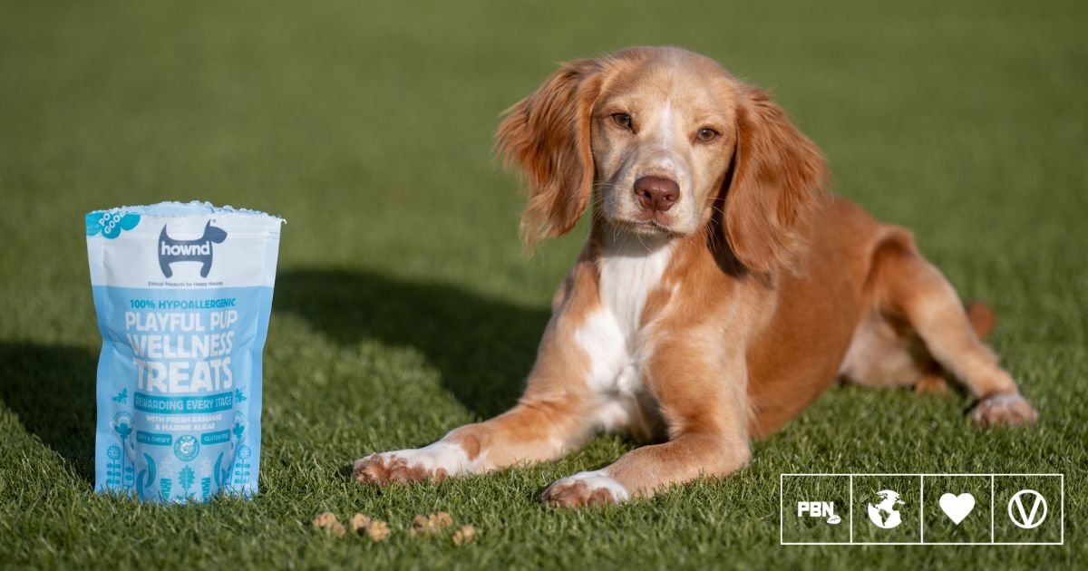 Pets Choice Acquires Vegan Dog Food Brand HOWND