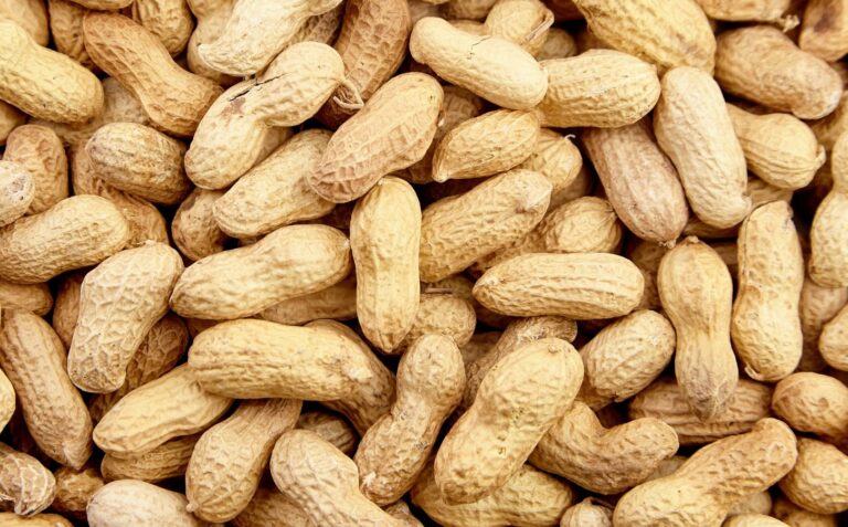 Peanut Shells Could Be Used To Boost Protein In Meat Alternatives