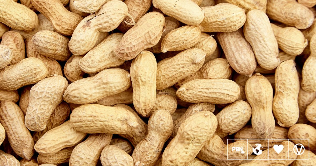 Peanut Shells Could Be Used To Boost Protein In Meat Alternatives