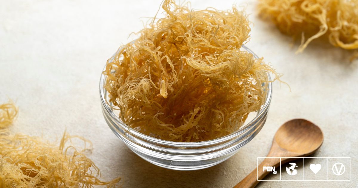 'Plant-Based Aquatic Ingredients' Tipped To Be 2025 Food Trend