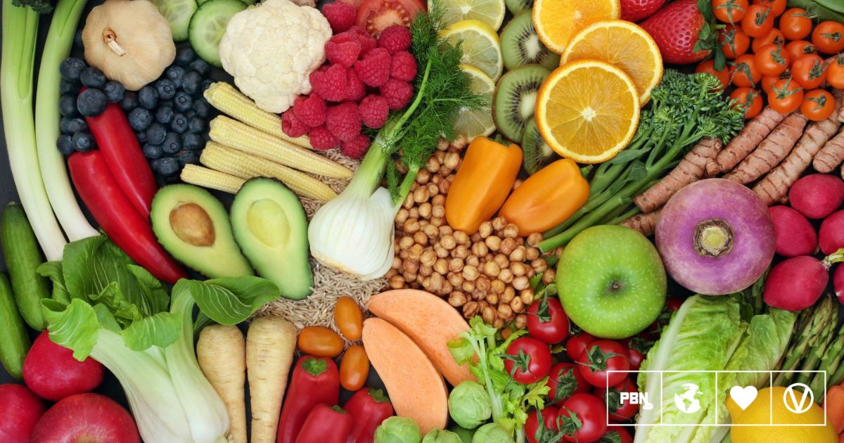 National Dietary Guides Should Be Based On Healthy Vegan Diet