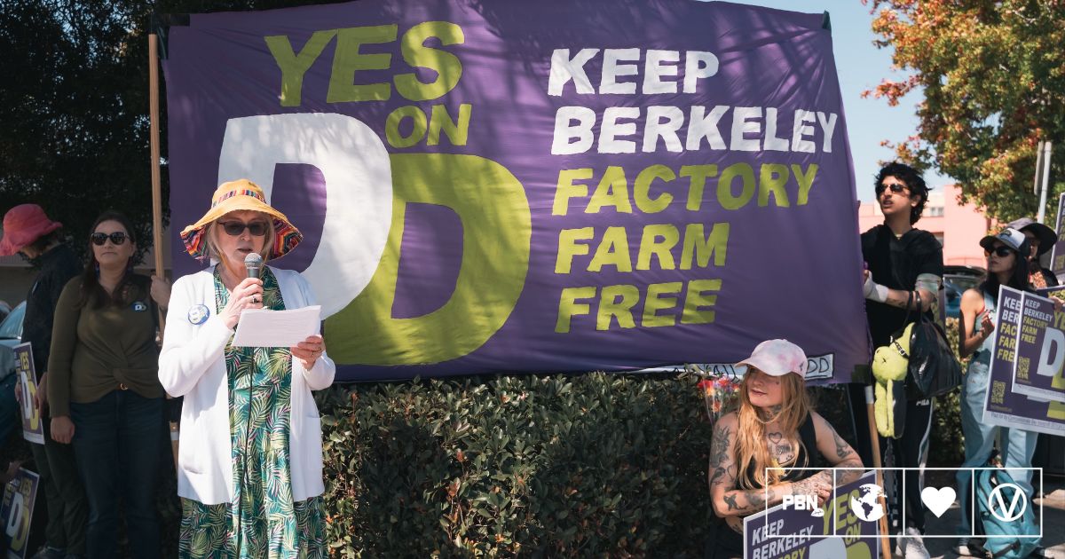 Berkeley Becomes The First US City To Ban Factory Farming