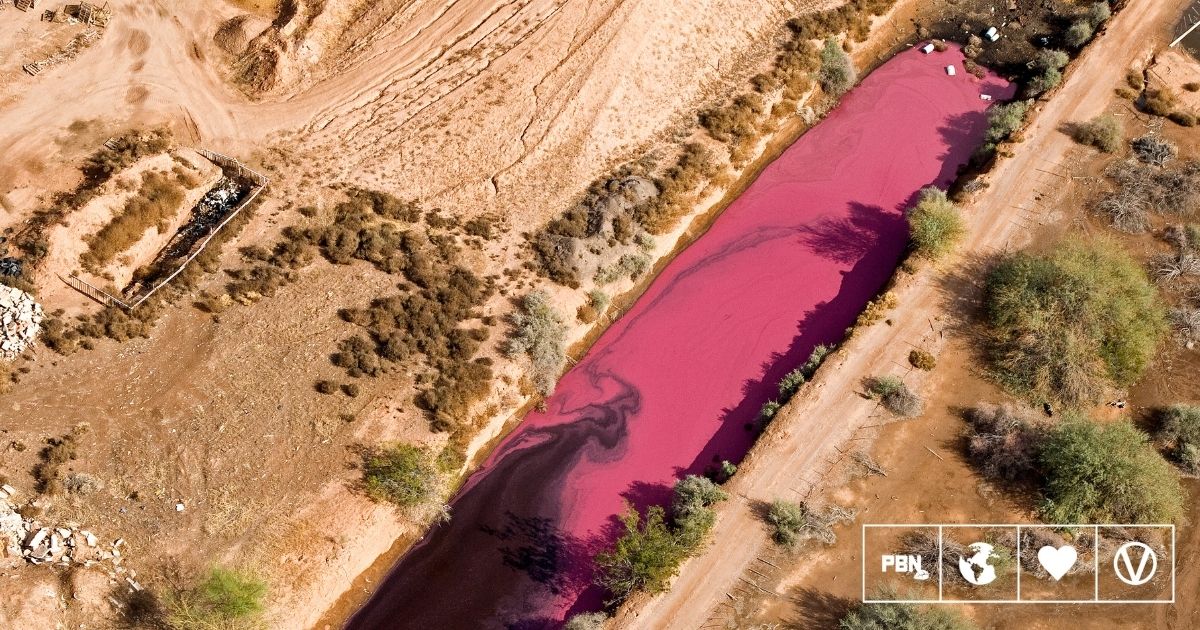 Scientists Observe Factory Farm Pollution From Space