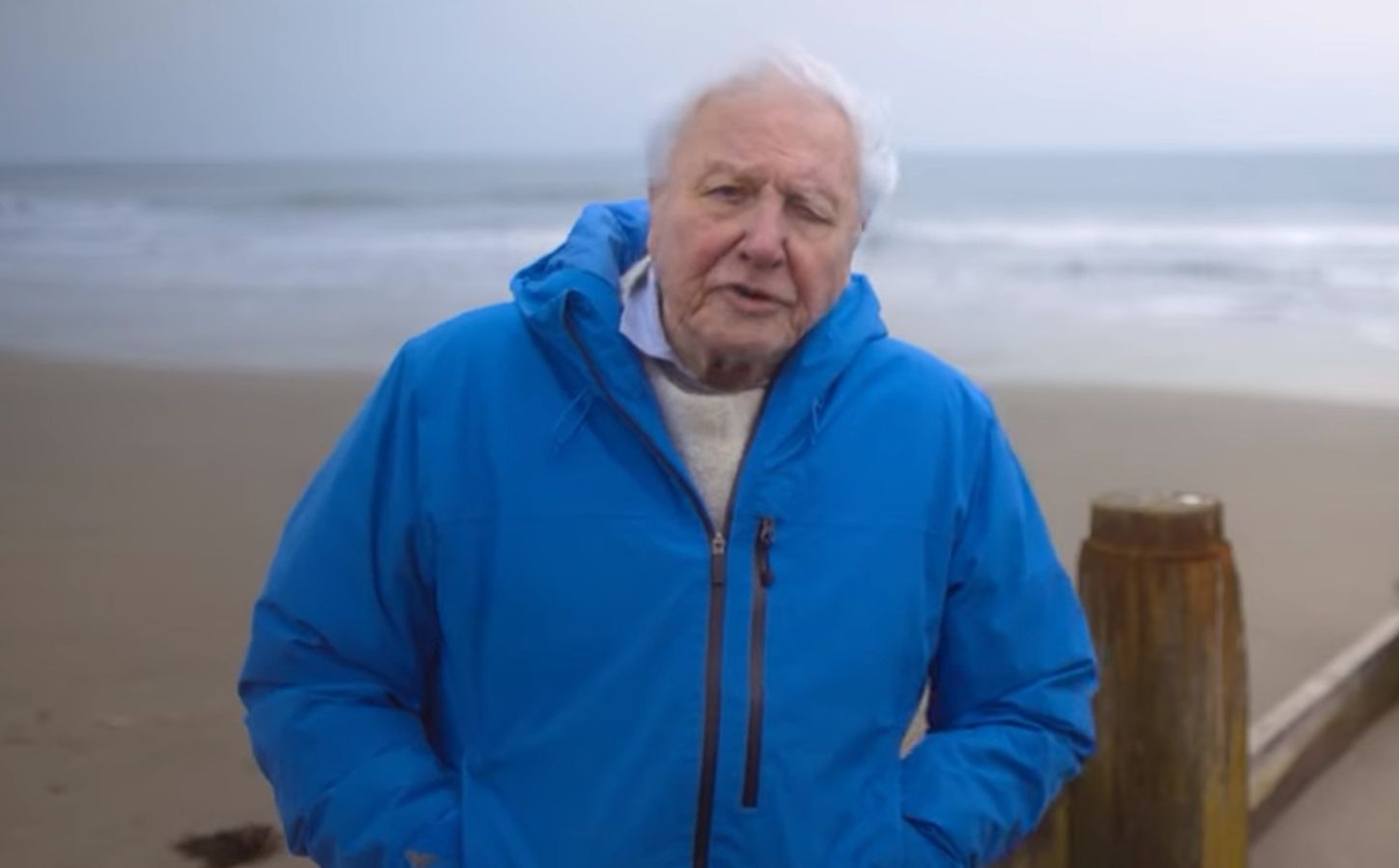 New David Attenborough Documentary To Launch On His 99th Birthday