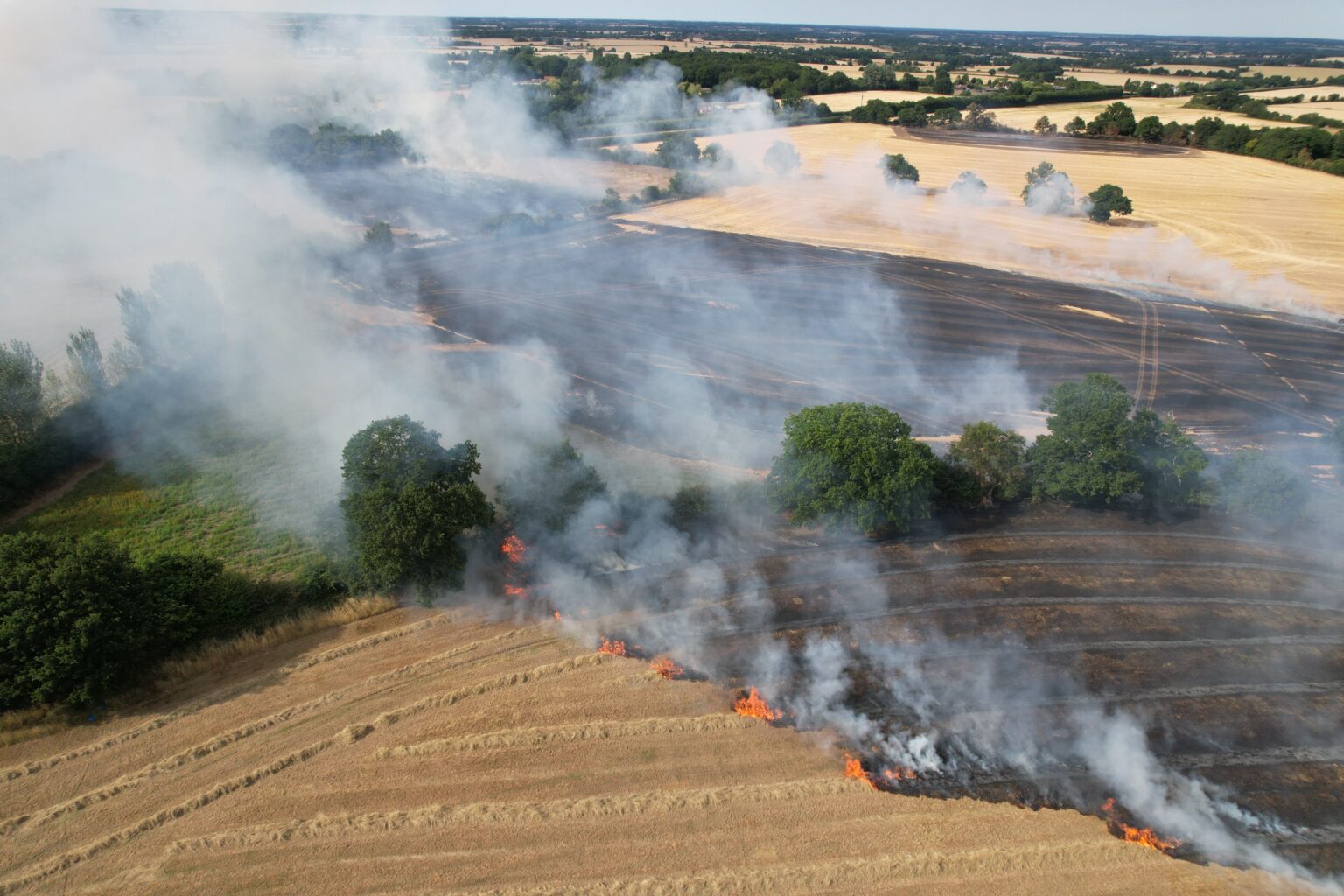 UK Fire Services Issue Wildfire Warnings Ahead Of Expected Hot Weather