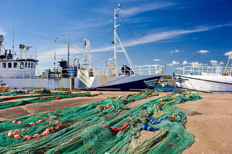 UK Government Declines To Ban Bottom Trawling Four Months After ...