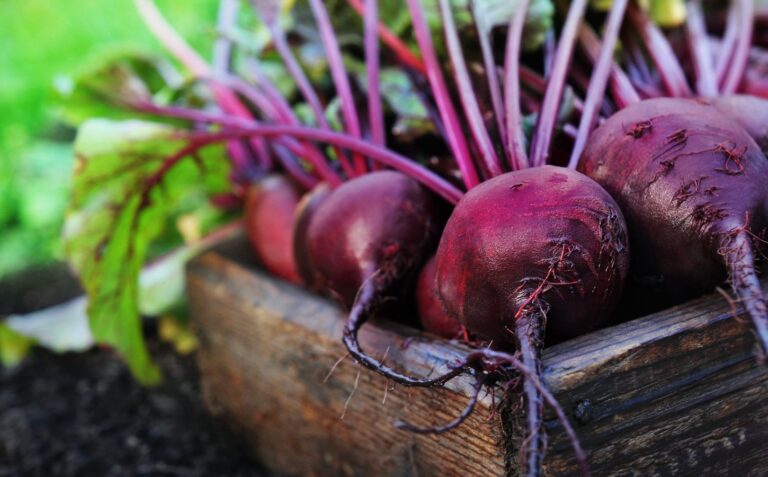 This Is What Happens To Your Body After Eating Beets