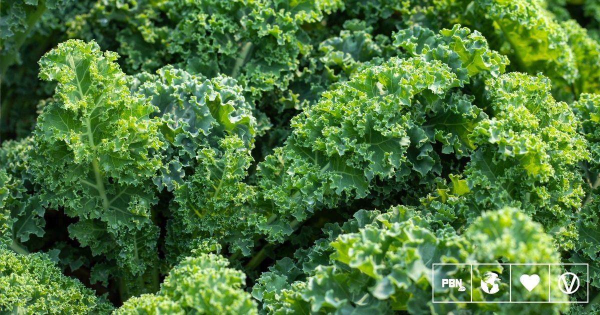 You Might Be Cooking Away Half Of Kale’s Health Benefits