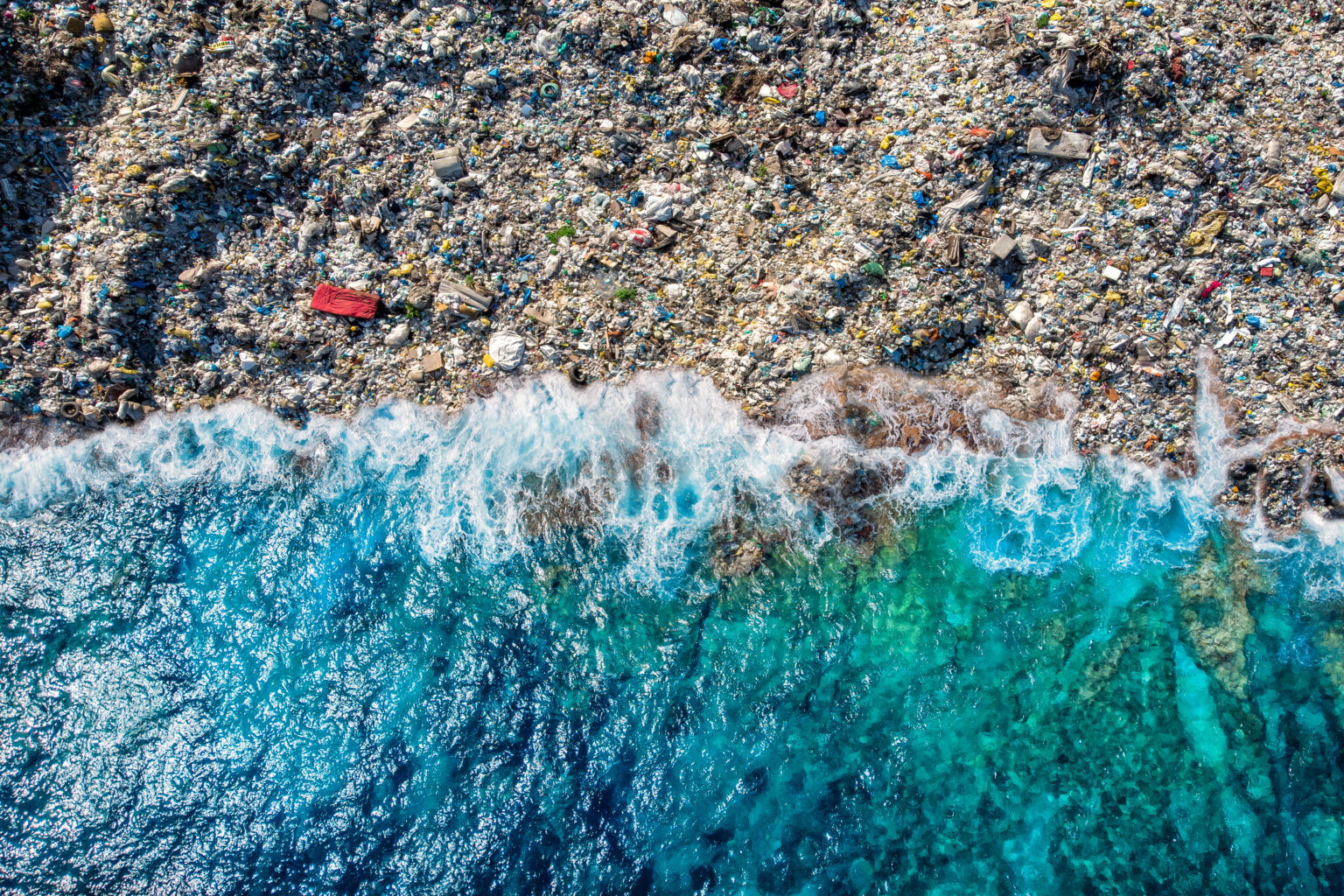 Cutting-Edge Plant-Based Plastic Bag Dissolves In Seawater Leaving No ...