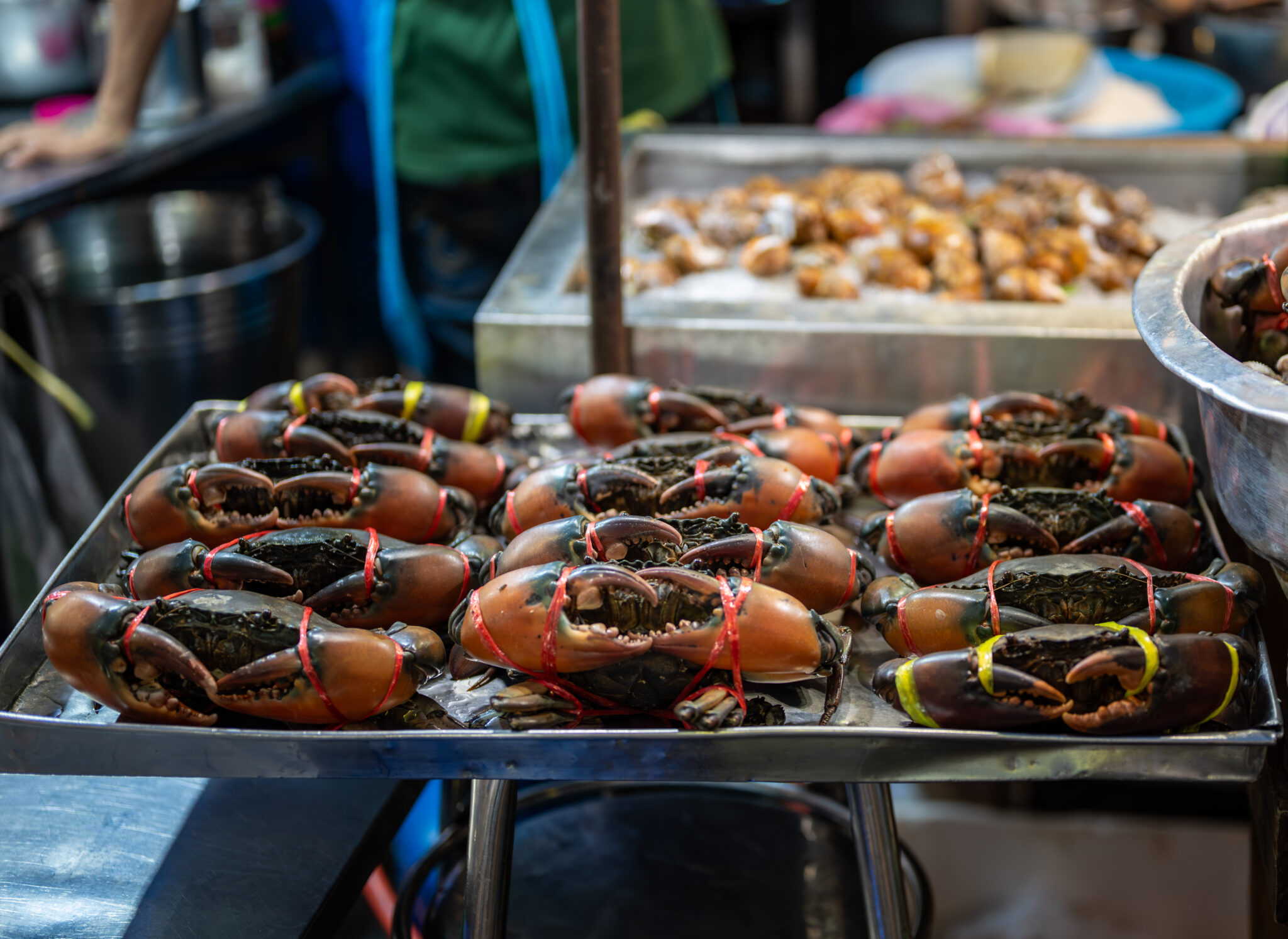 Will The UK Finally Ban Boiling Crabs Alive For Food? Here’s What You ...
